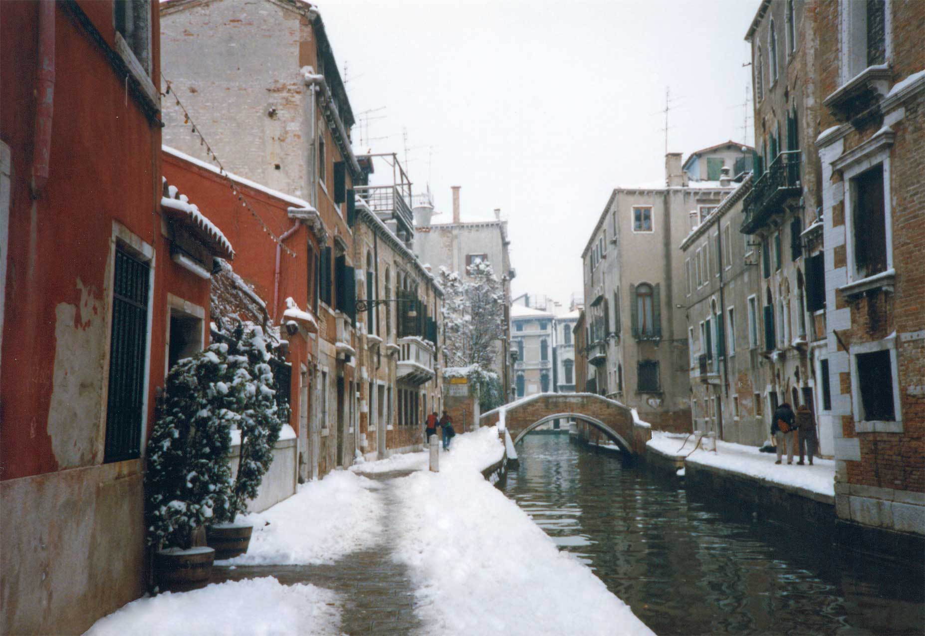 Dettaglio Immagine - Bollettino Ufficiale della Regione del Veneto